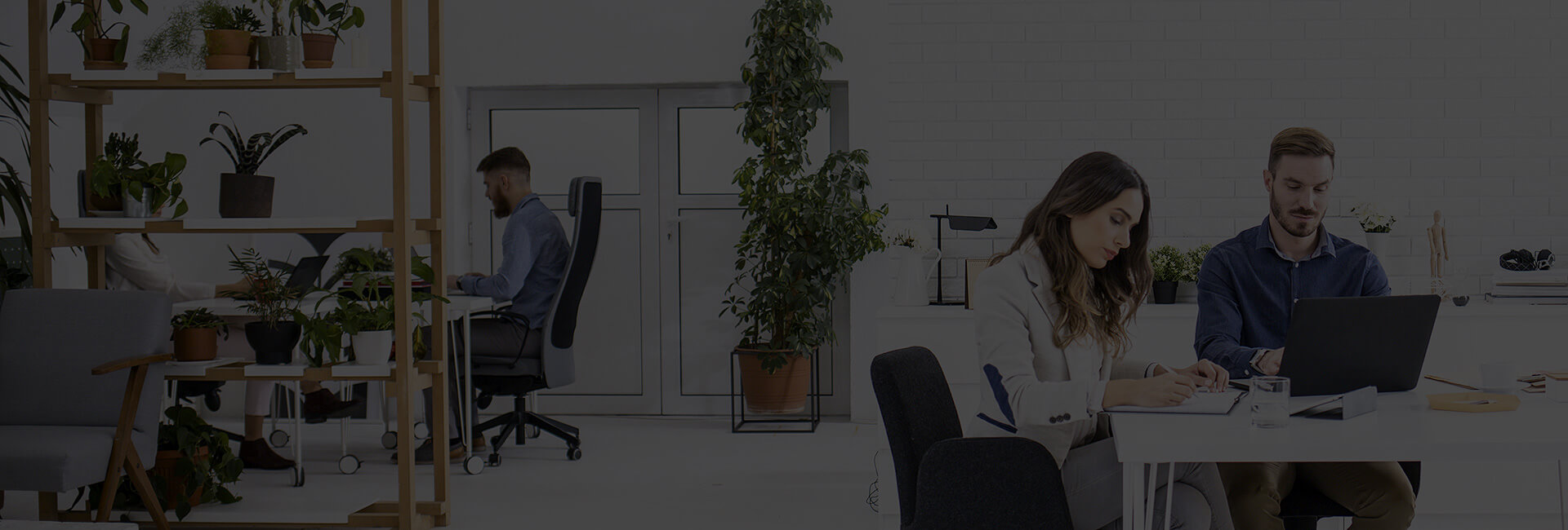 Pricing classic - ProTrain Firearms, LLC